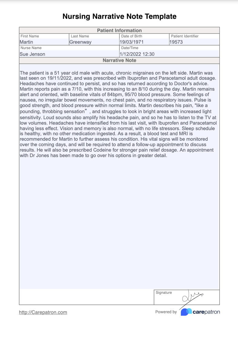 Nursing Narrative Note Template Example Free PDF Download